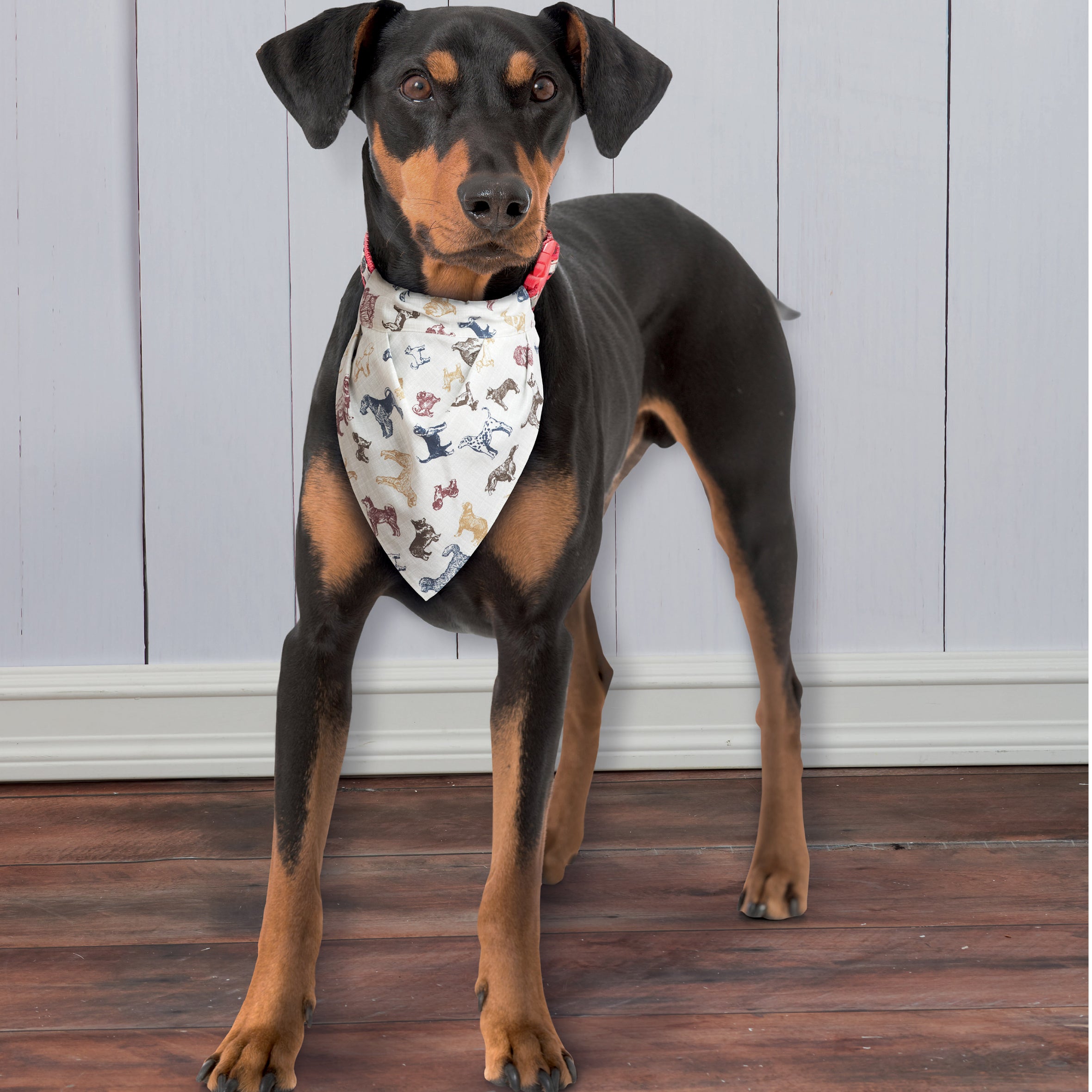 Simplicity Sewing Pattern S9446 Pet Crate Covers in Three S. | Fabriques